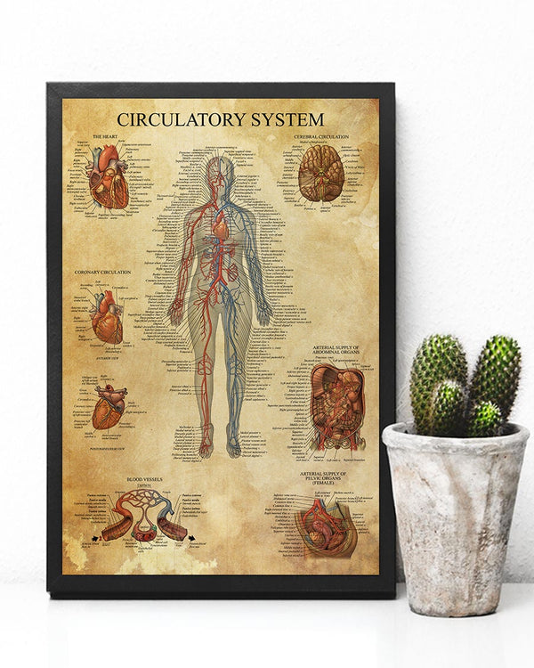 Circulatory System Standard Poster - Wolfantique